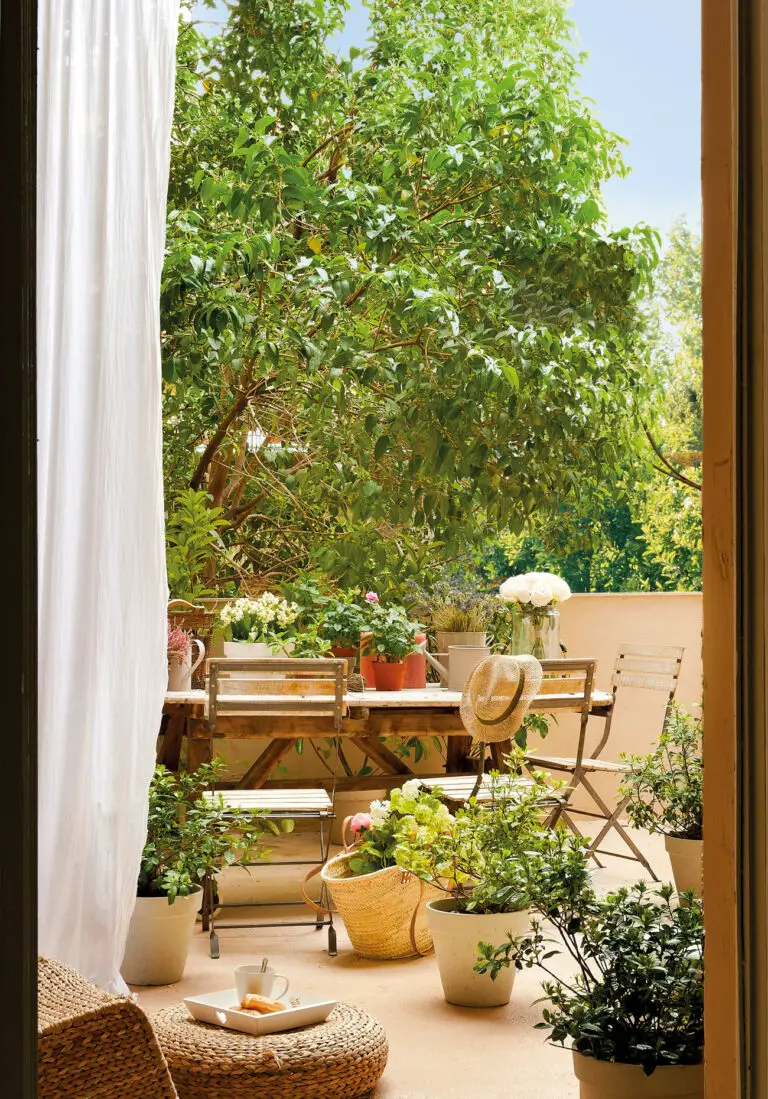 10 Arbres Qui Sont Justes Parfaits Pour Notre Terrasse