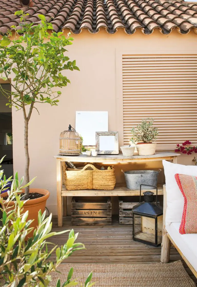 10 Arbres Qui Sont Justes Parfaits Pour Notre Terrasse