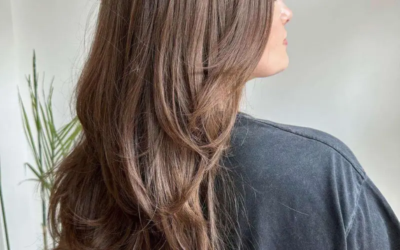 10 Coupes De Cheveux Papillons La Plus Tendance En 2023