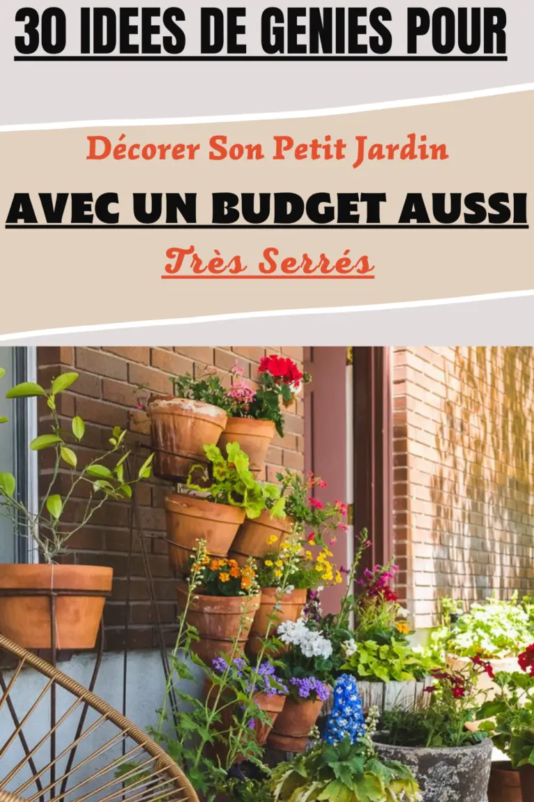 30 Idées de Petits Jardins De Rêve Avec Un Budget Limité