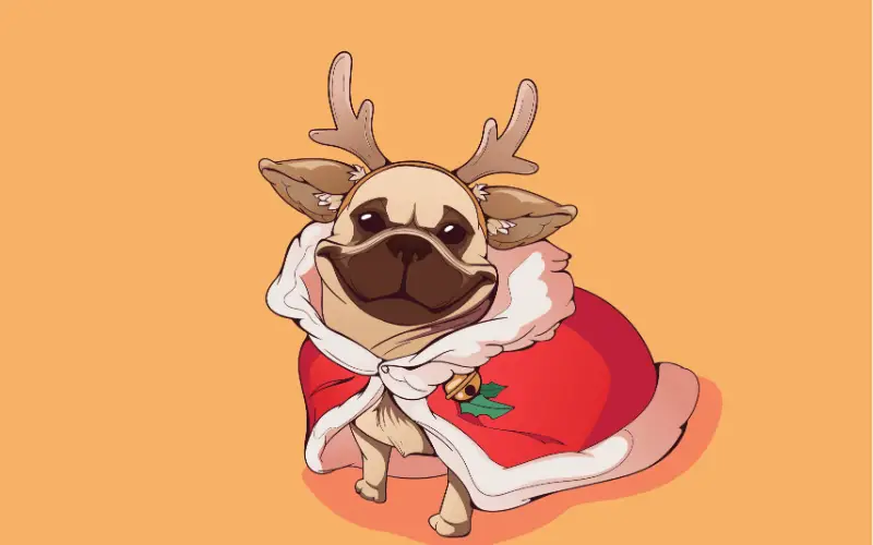 40 Phrases Courtes et Drôles Pour Souhaiter un Joyeux Noël